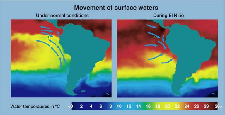 Understanding El Niño and La Niña: Impacts on Global Weather Patterns ...