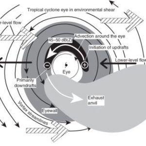 The Ultimate Guide to Hurricane Forecasting - Collective Weather